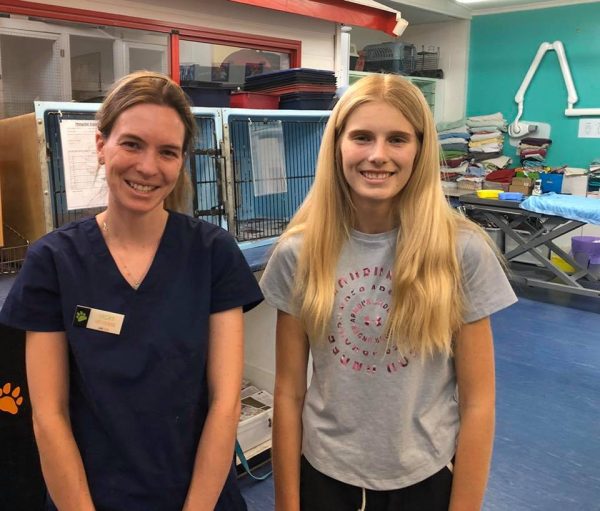 Gallery - Photos from our Masterton Vet Clinic | Vetcare