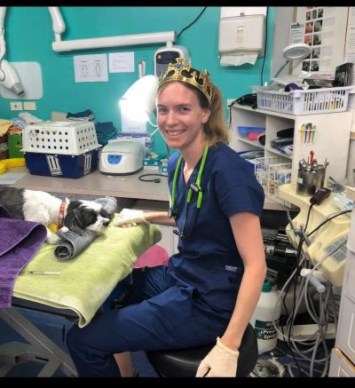 Gallery - Photos from our Masterton Vet Clinic | Vetcare