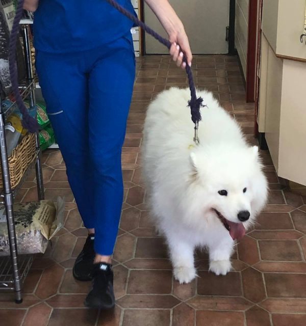 Gallery - Photos from our Masterton Vet Clinic | Vetcare