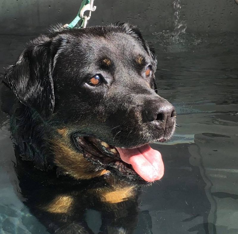 Gallery - Photos from our Masterton Vet Clinic | Vetcare