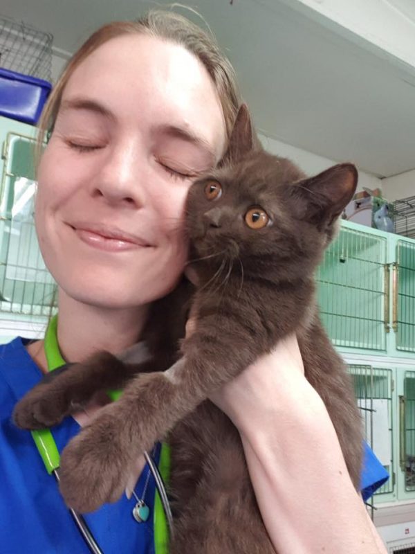 Gallery - Photos from our Masterton Vet Clinic | Vetcare