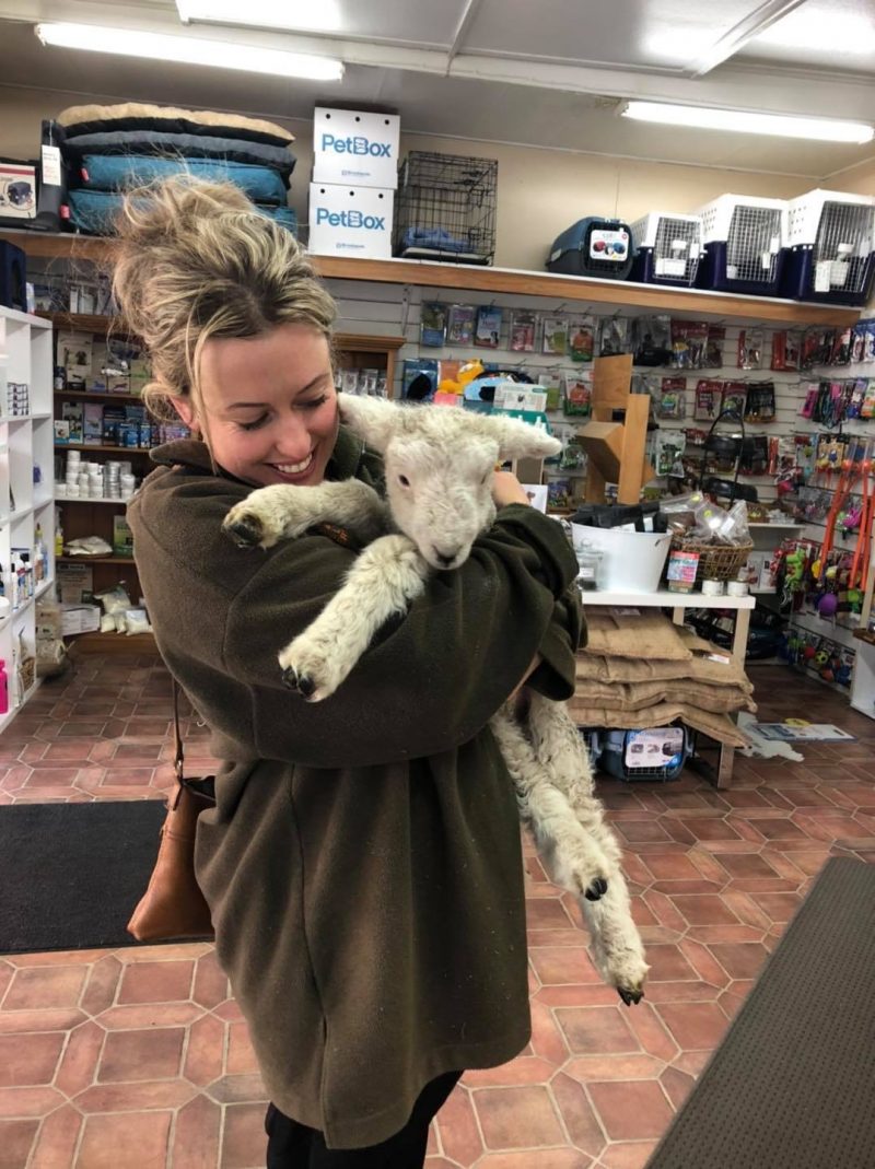 Gallery - Photos from our Masterton Vet Clinic | Vetcare