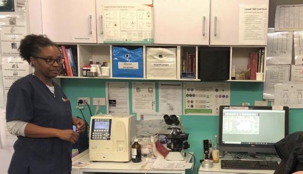 Gallery - Photos from our Masterton Vet Clinic | Vetcare