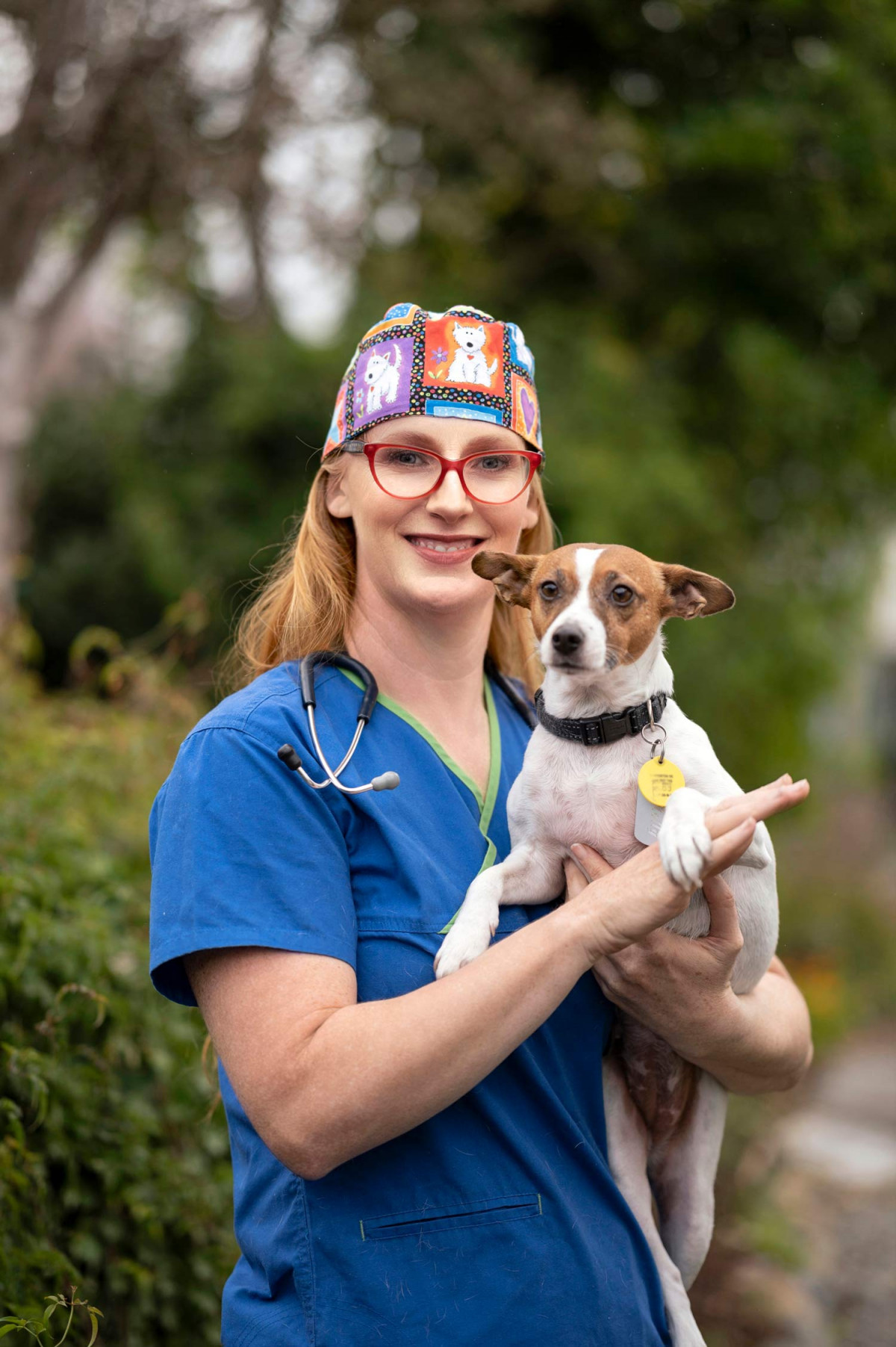 Gallery - Photos from our Masterton Vet Clinic | Vetcare