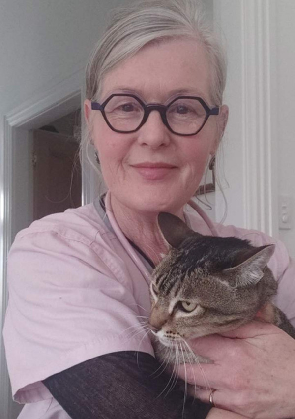 Meet The Team | Masterton & Greytown Vets | Vetcare