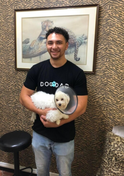 Meet The Team | Masterton & Greytown Vets | Vetcare